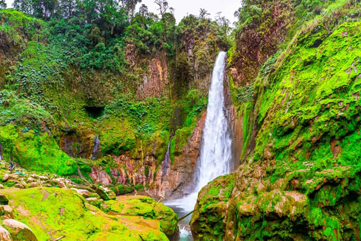 Waterfall Catarata Del Toro: A Hidden Oasis - Tico Travel